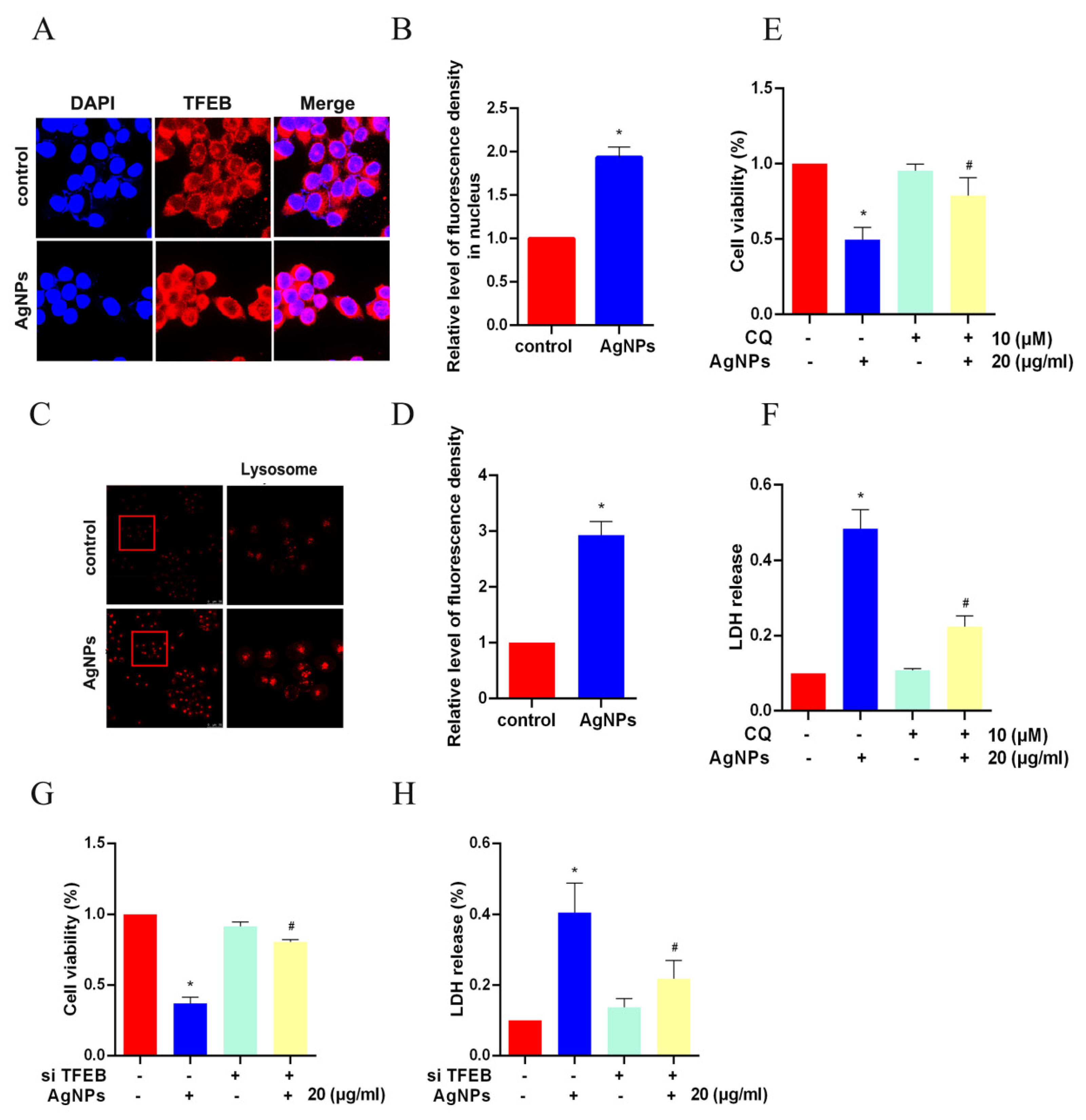 Increased DNMT1 Involvement in the Activation of LO2 Cell Death Induced ...