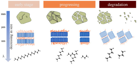 A Hidden Pathway for Human Exposure to Micro- and Nanoplastics—The ...