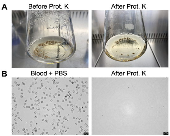 Toxics | Free Full-Text | Testing of Different Digestion Solutions on ...