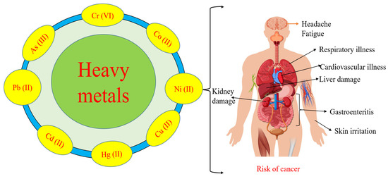 Water Quality Degradation Due to Heavy Metal Contamination: Health ...