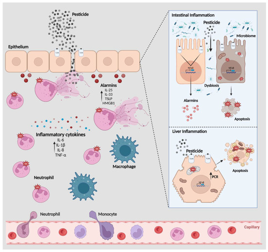 Pesticide-Induced Inflammation at a Glance
