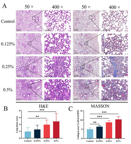 Pulmonary Toxicity Assessment after a Single Intratracheal Inhalation ...