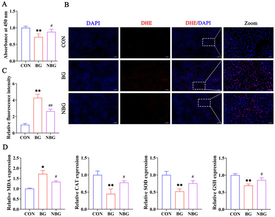 N-Acetyl-L-Cysteine Ameliorates BPAF-Induced Porcine Sertoli Cell ...