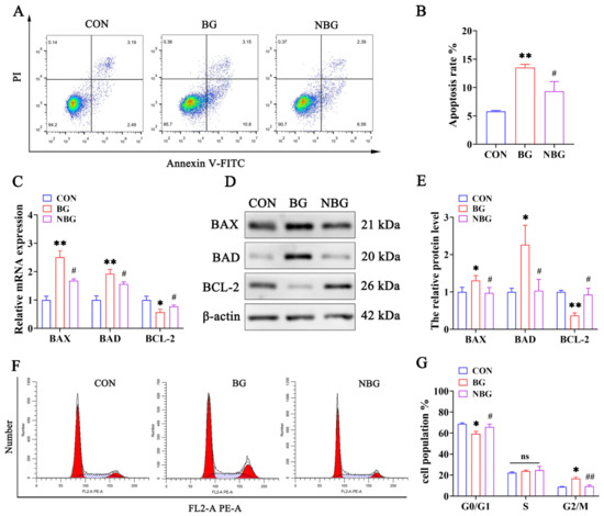N-Acetyl-L-Cysteine Ameliorates BPAF-Induced Porcine Sertoli Cell ...