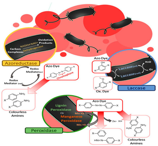 Recent Strategies for the Remediation of Textile Dyes from Wastewater ...
