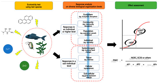 Toxics | Free Full-Text | Proposing Effective Ecotoxicity Test Species ...