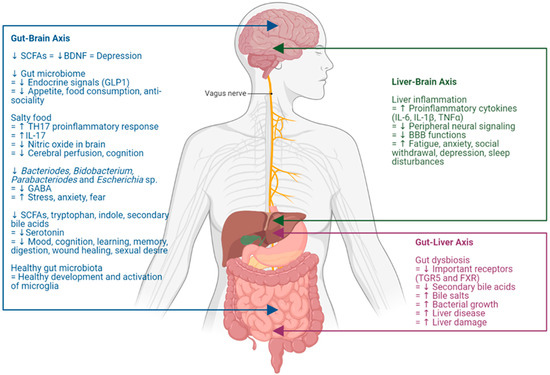 Interaction between Per- and Polyfluorinated Substances (PFAS) and ...