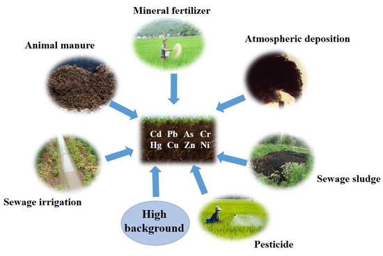 Heavy Metals in Agricultural Soils: Sources, Influencing Factors, and ...