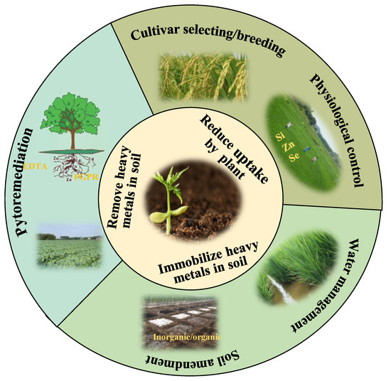 Heavy Metals in Agricultural Soils: Sources, Influencing Factors, and ...