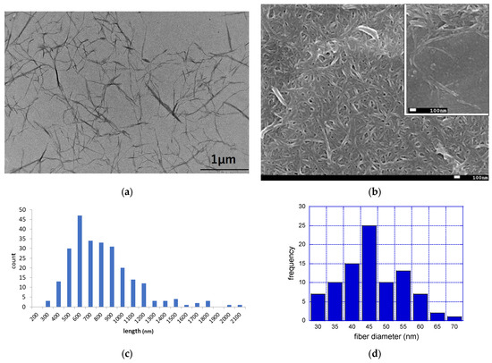 Assessing the Safety of Mechanically Fibrillated Cellulose Nanofibers ...