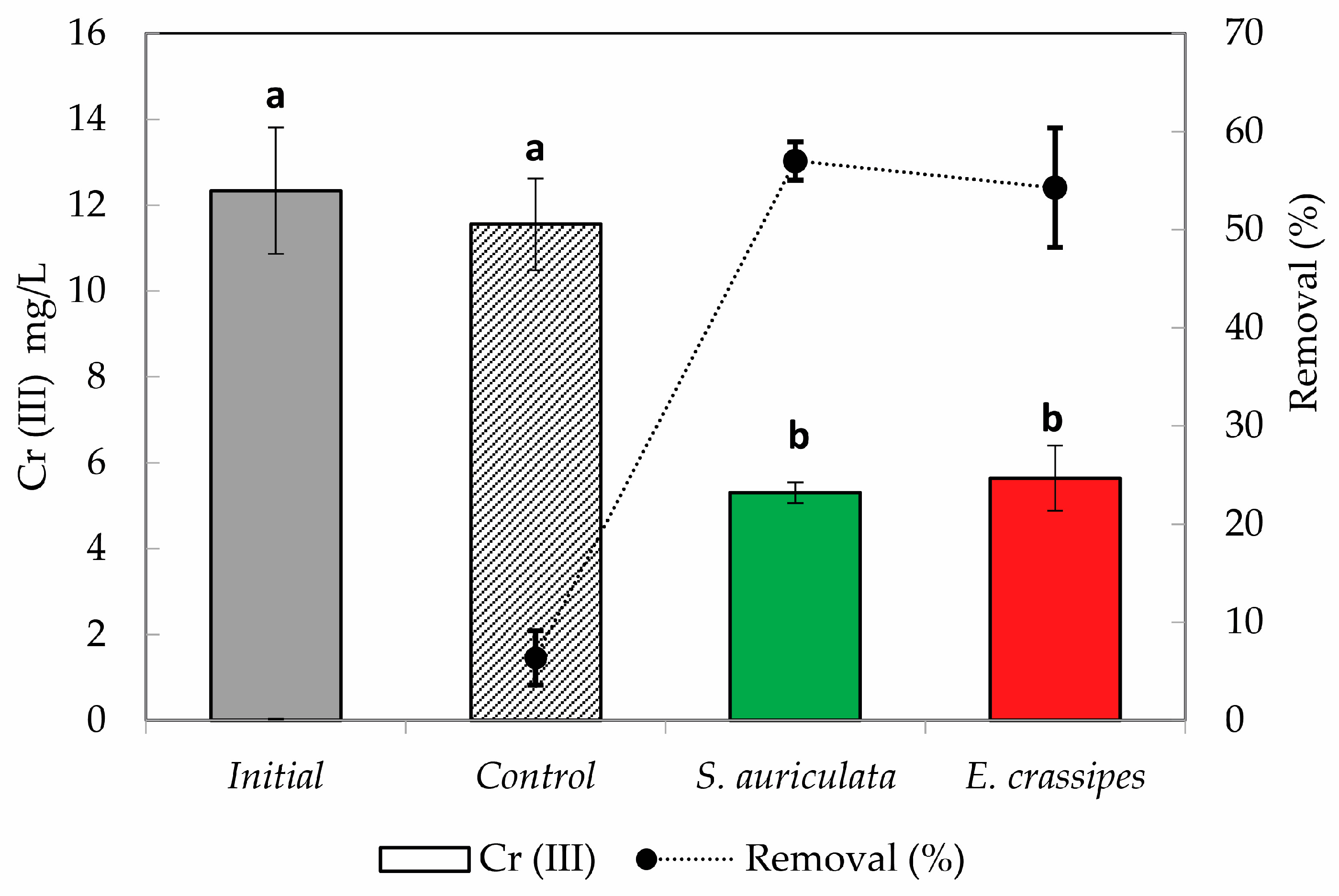 Removal of Chromium (III) and Reduction in Toxicity in a Primary ...