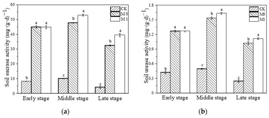 Phytostabilization of Heavy Metals and Fungal Community Response in ...