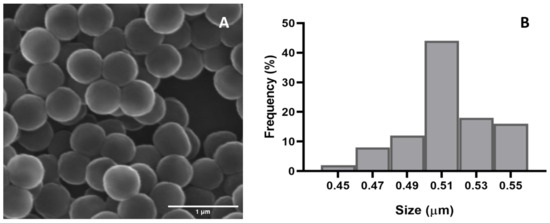 The Role of Life Stages in the Sensitivity of Hediste diversicolor to ...