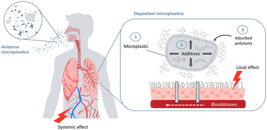 Inhalation of Microplastics—A Toxicological Complexity