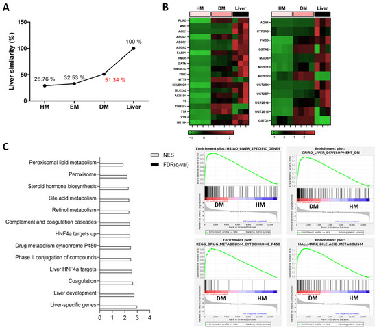 Toxics | Free Full-Text | Validating Well-Functioning Hepatic Organoids ...