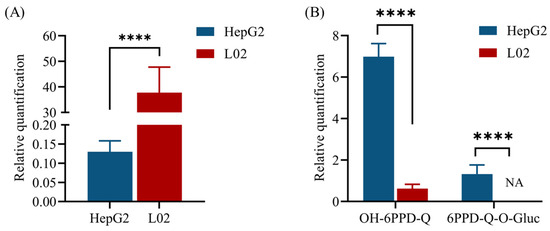 Effects of 6PPD-Quinone on Human Liver Cell Lines as Revealed with Cell ...