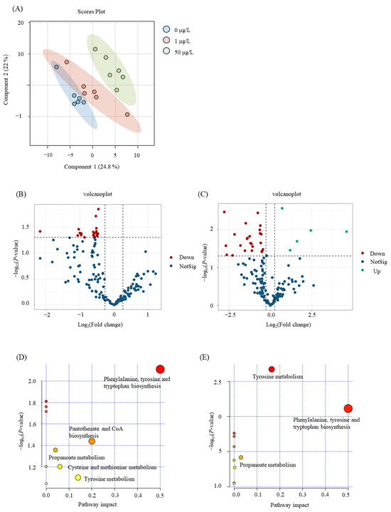 Effects of 6PPD-Quinone on Human Liver Cell Lines as Revealed with Cell ...