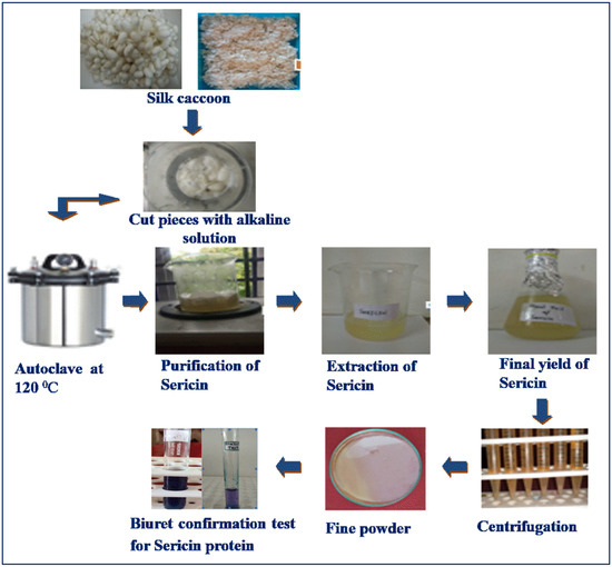 Toxics | Free Full-Text | Development of Biodegradable Bioplastics with ...