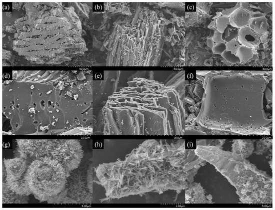 Toxics | Free Full-Text | Optimization of Photothermal Catalytic ...