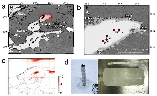 Microplastic Particles and Fibers in Seasonal Ice of the Northern ...