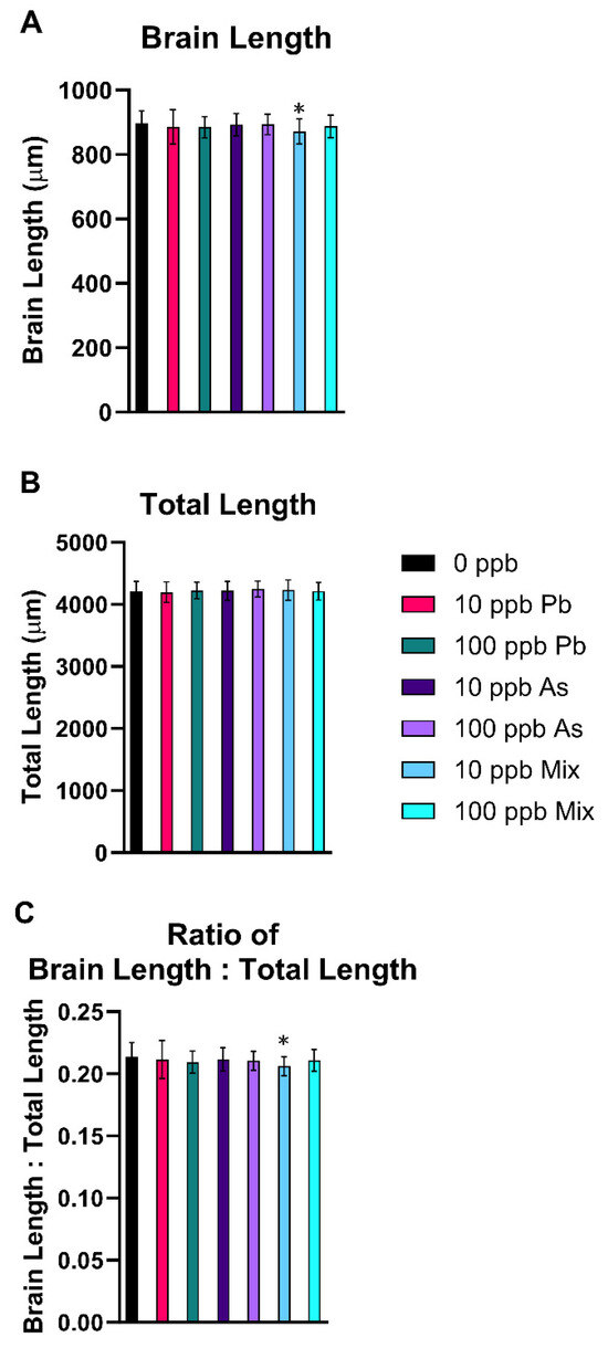 Cerebral Vascular Toxicity after Developmental Exposure to Arsenic (As ...