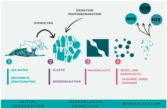Health Implications of Widespread Micro- and Nanoplastic Exposure: Environmental Prevalence ...