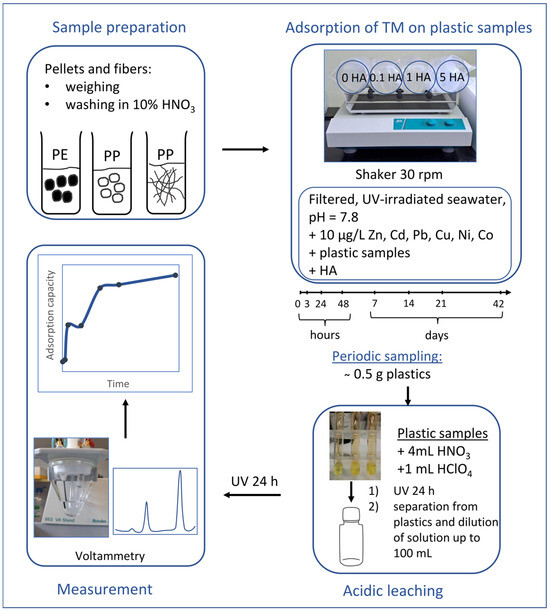 Influence of Organic Matter and Speciation on the Dynamics of Trace Metal Adsorption on ...