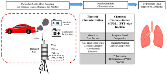 Assessment of the Physicochemical Properties of Ultrafine Particles ...