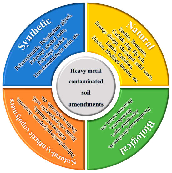Advances in Soil Amendments for Remediation of Heavy Metal-Contaminated Soils: Mechanisms ...