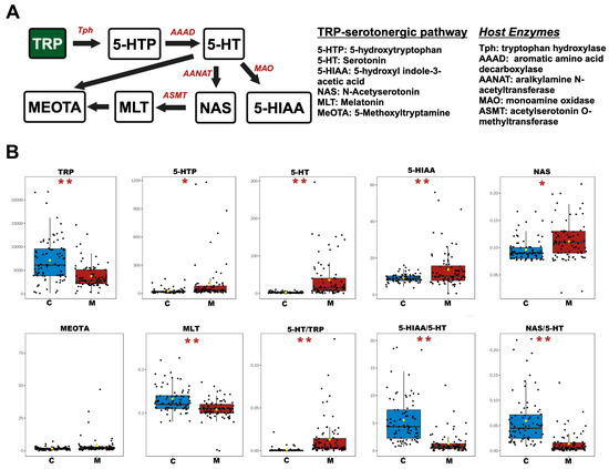 Neurotransmitter Metabolic Disturbance in Methamphetamine Abusers ...