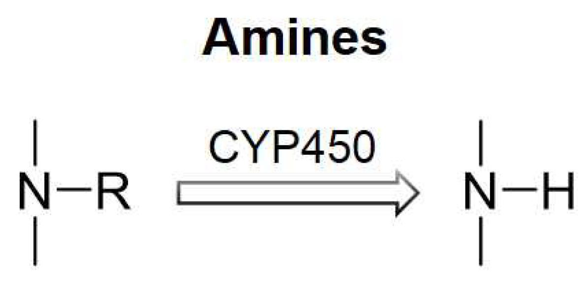 Development of a Predictive Model for N-Dealkylation of Amine ...