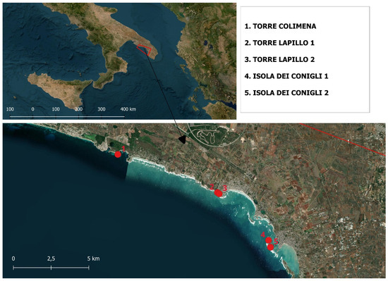 New Plastitar Record for the Mediterranean Sea: Characterization of ...
