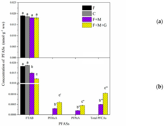Bioaccumulation, Biotransformation and Oxidative Stress of 6:2 ...