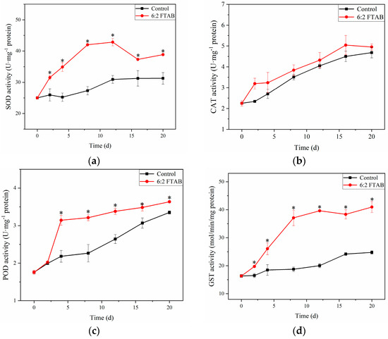 Bioaccumulation, Biotransformation and Oxidative Stress of 6:2 ...