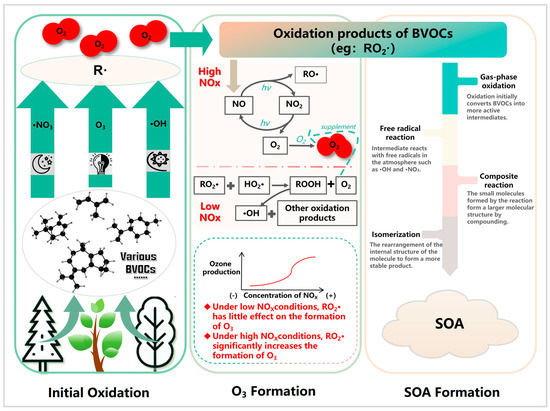A Review of Biogenic Volatile Organic Compounds from Plants: Research ...