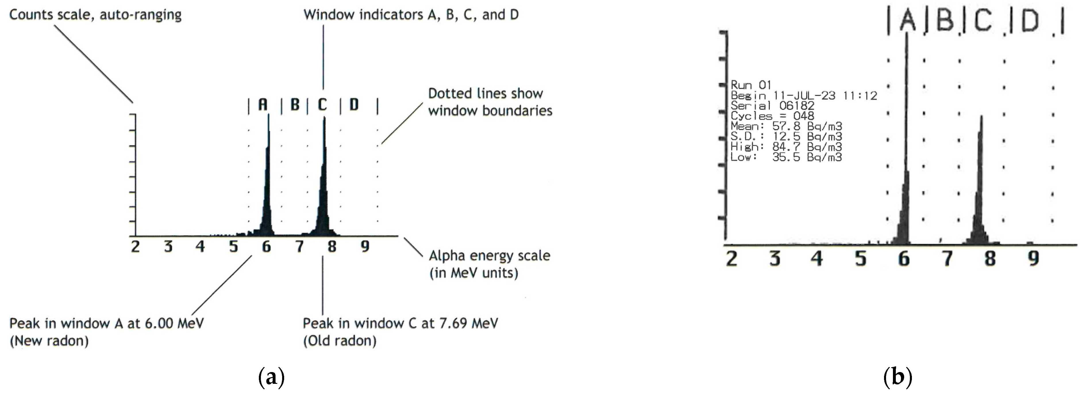 Different 212Pb Generators and Its Radiation Safety Concerning 220Rn ...