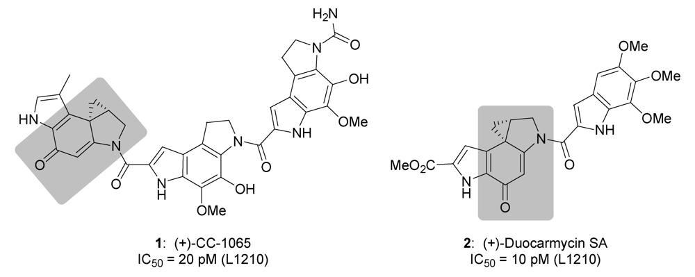 Determination of the Biological Activity and Structure Activity ...