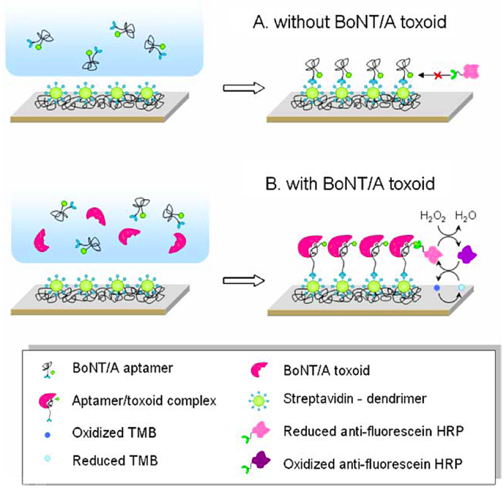 Toxins | Special Issue : Neurotoxins of Biological Origin