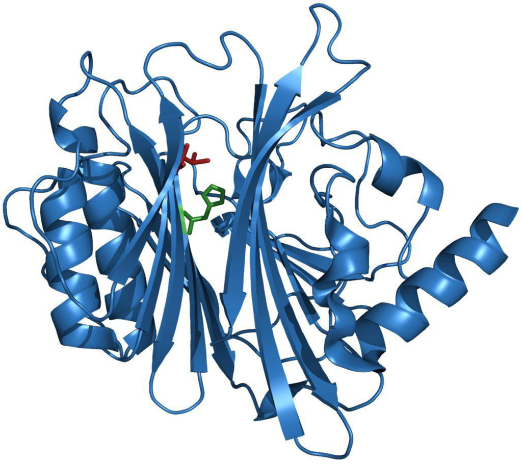 Toxins | Special Issue : Bacterial Protein Toxins