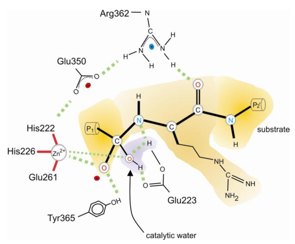 Toxins | Special Issue : Bacterial Protein Toxins
