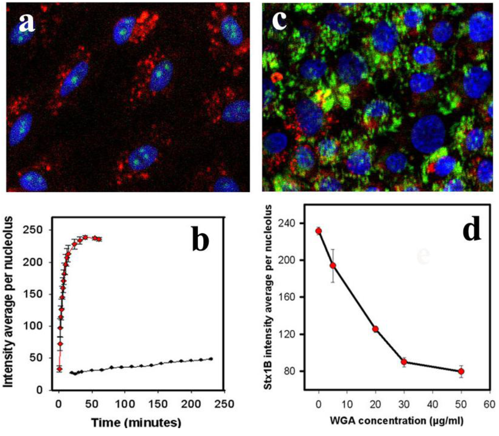Toxins | Special Issue : Enterotoxins