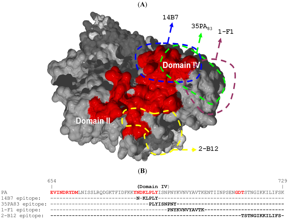 Toxins | Special Issue : Anthrax Toxin