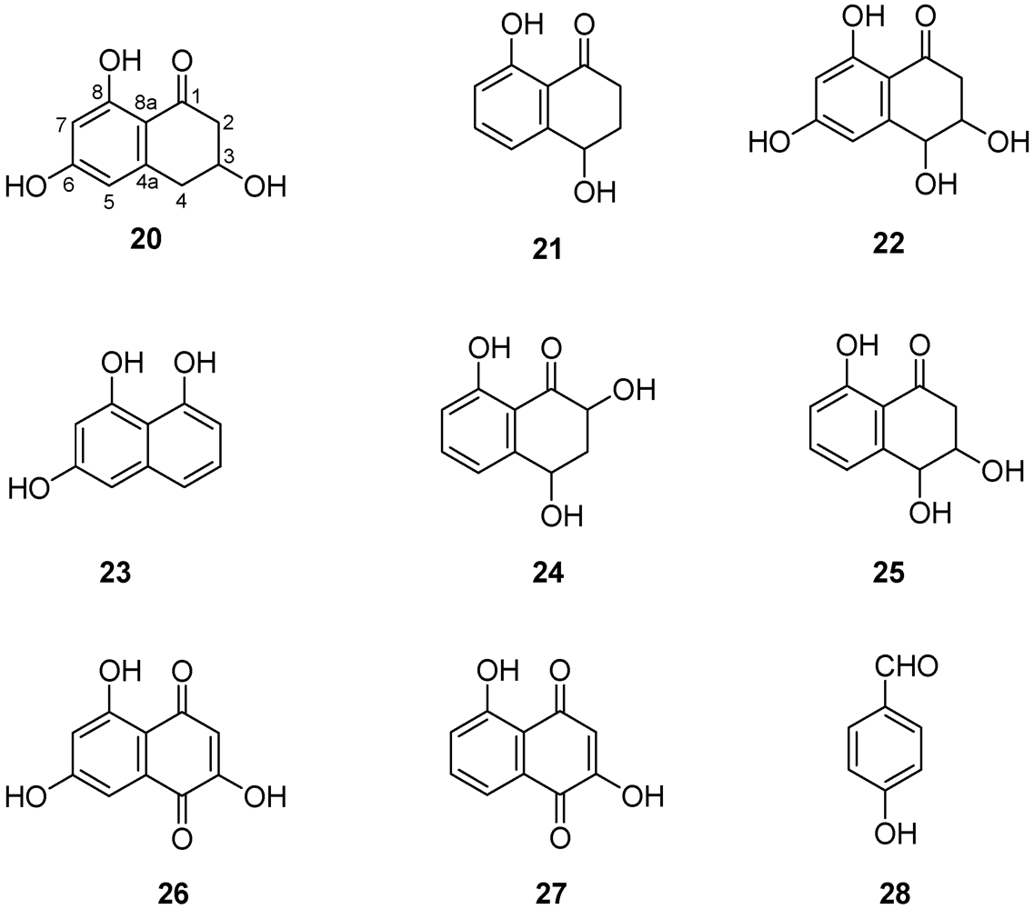 Phytotoxins Produced by Fungi Associated with Grapevine Trunk Diseases