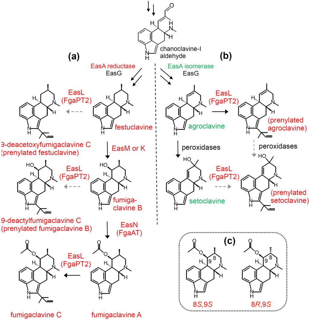 Toxins | Special Issue : Ergot Alkaloids: Chemistry, Biology and Toxicology
