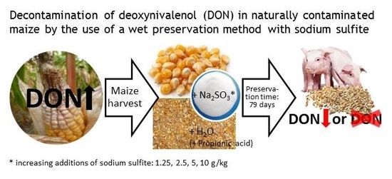 Toxins Special Issue Detoxification Of Mycotoxins