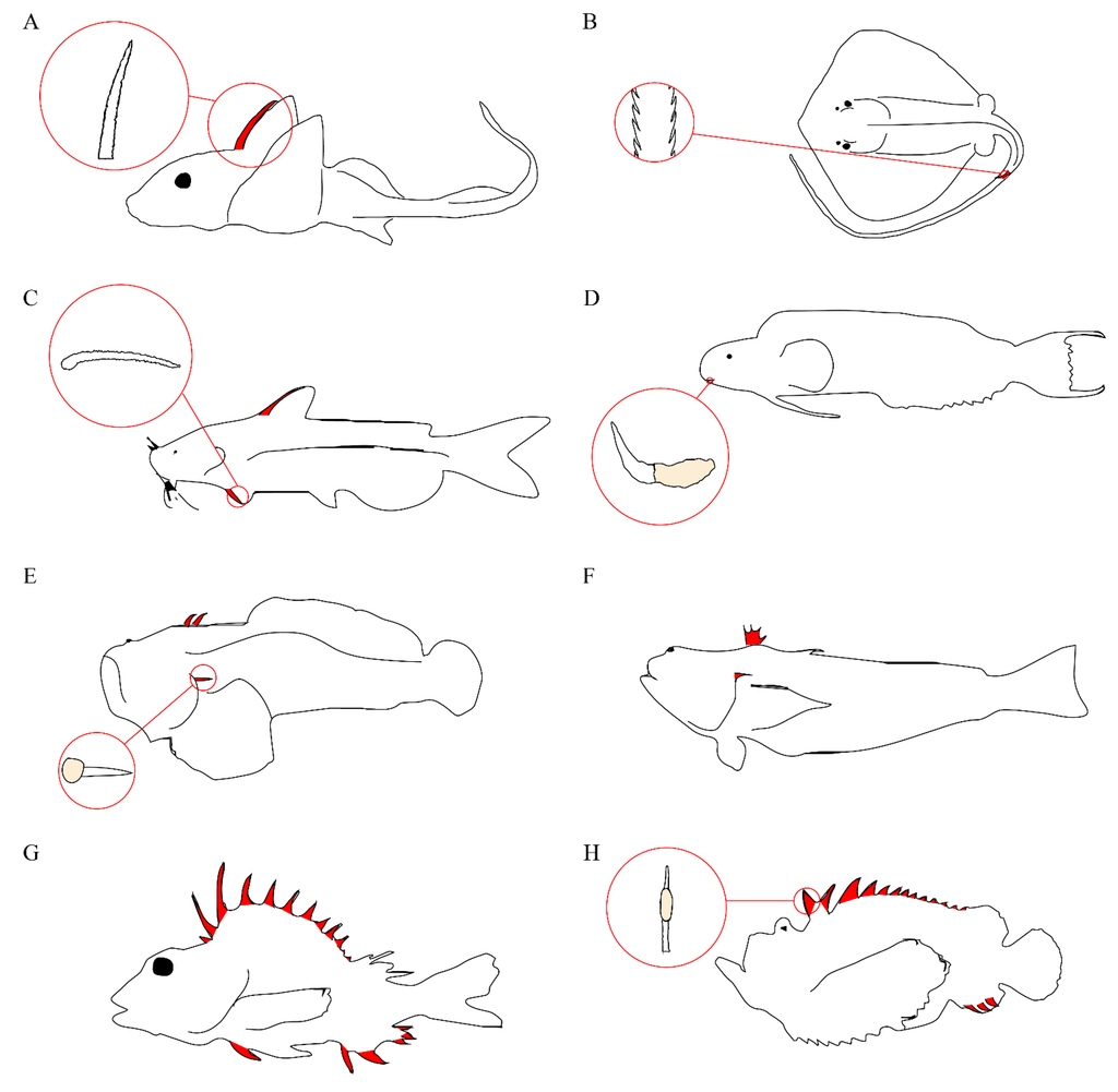 Bioactive Components in Fish Venoms