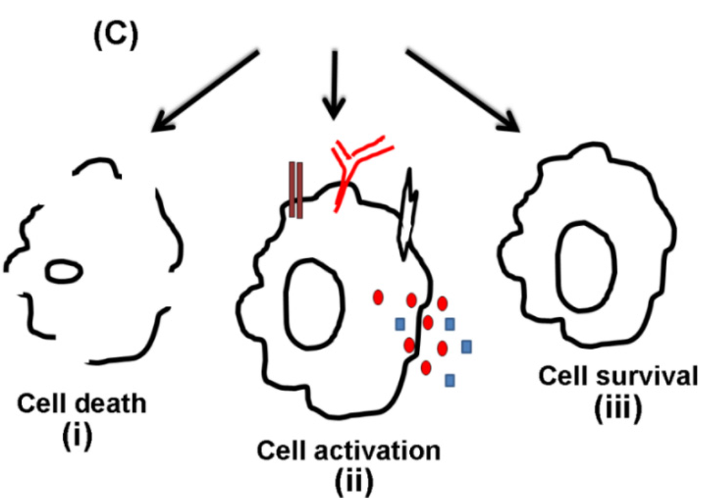 Toxins | Special Issue : The Cell Biology of Toxins and Effector ...
