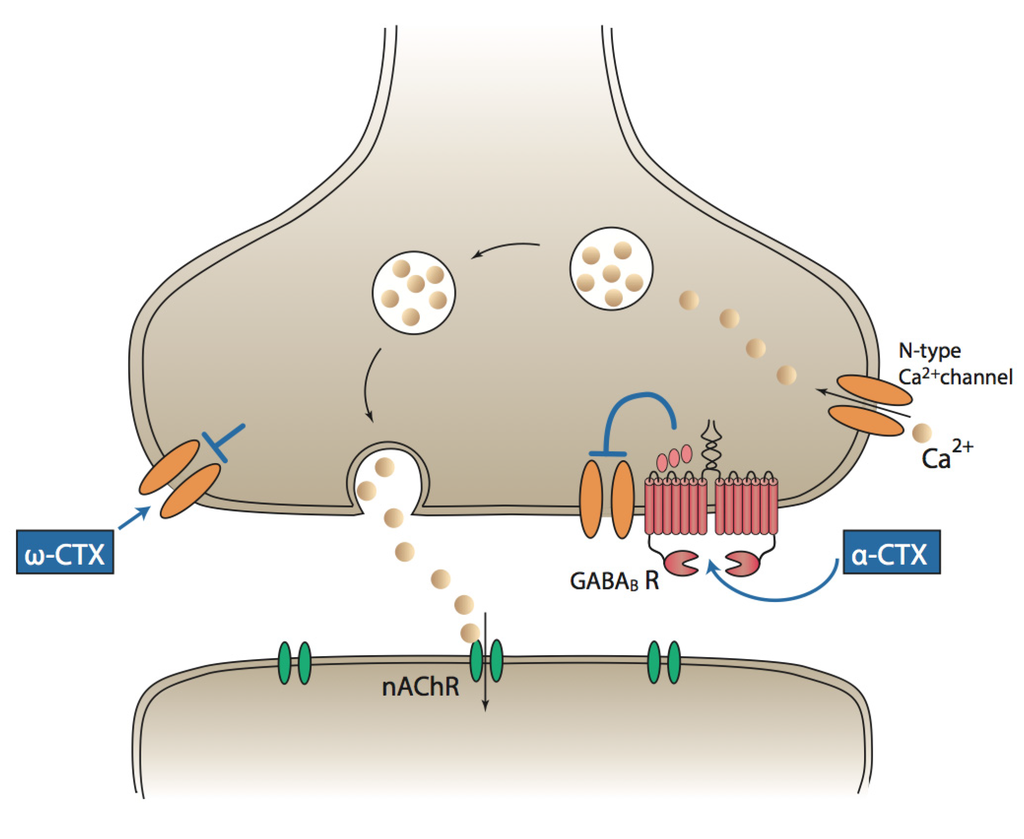 Toxins | Special Issue : Conotoxins: Novel Pharmacologies for Nervous System Disorders