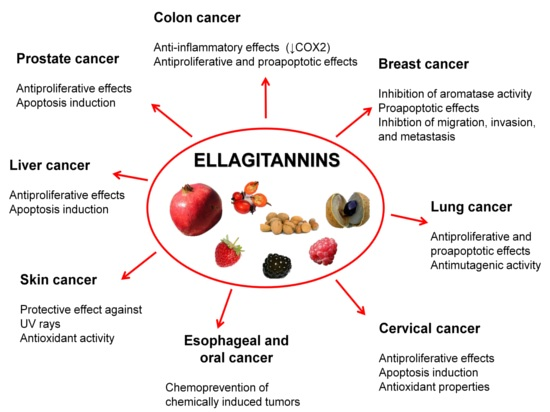 Toxins | Free Full-Text | Ellagitannins in Cancer Chemoprevention and ...