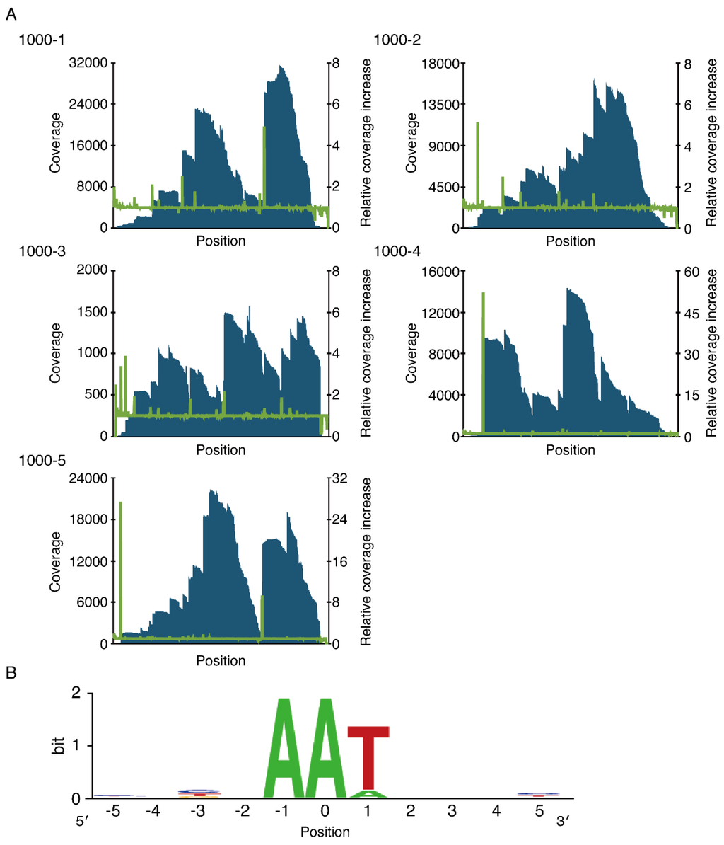 Toxins | Special Issue : Toxin-Antitoxin System in Bacteria